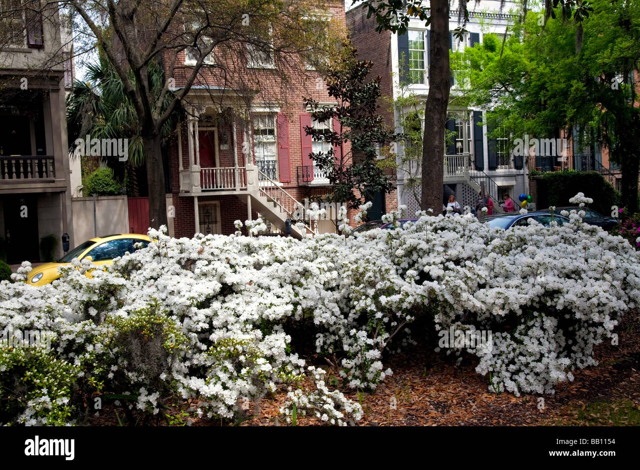 Beautiful parks with flowers and azaleas in Historic Savannah;Georgia ...