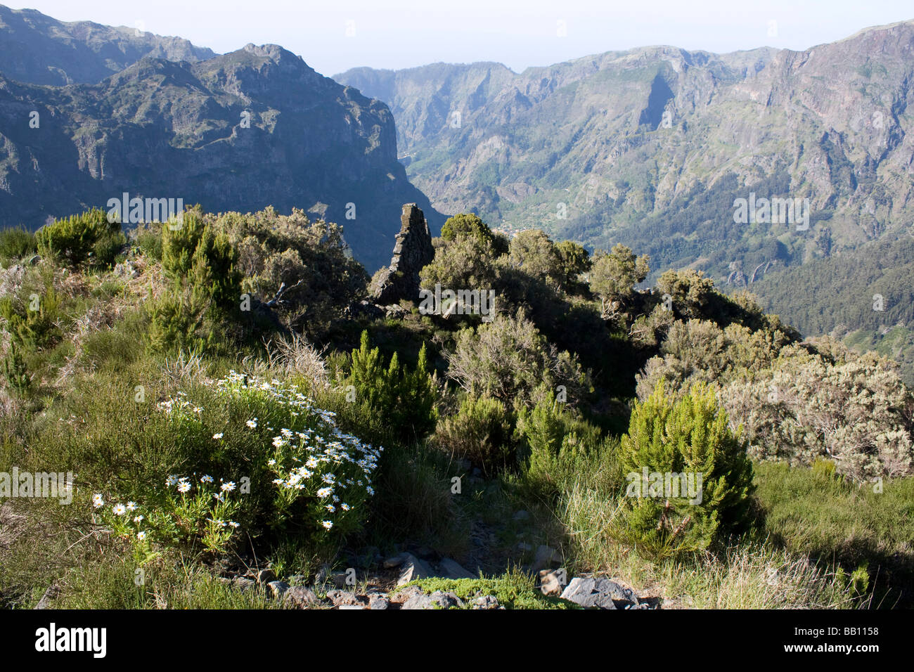 madeira portugal an island in the mid Atlantic Ocean Stock Photo - Alamy