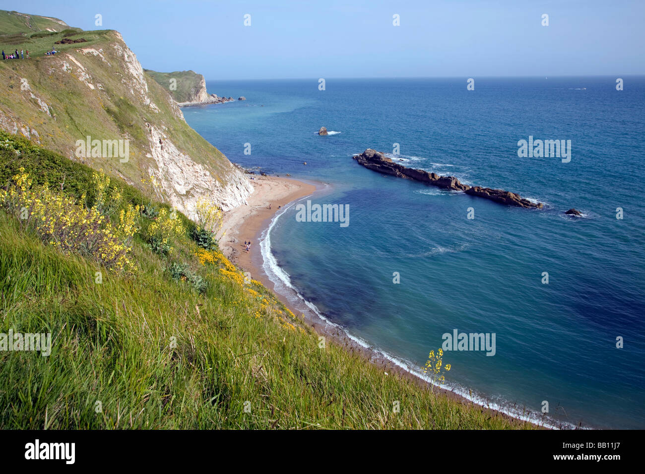 Limestone stumps chalk cliffs, Man o War Bay, Dorset, England Stock ...