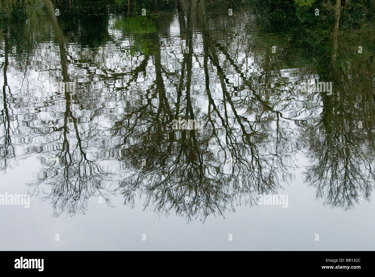 Keston hi-res stock photography and images - Alamy