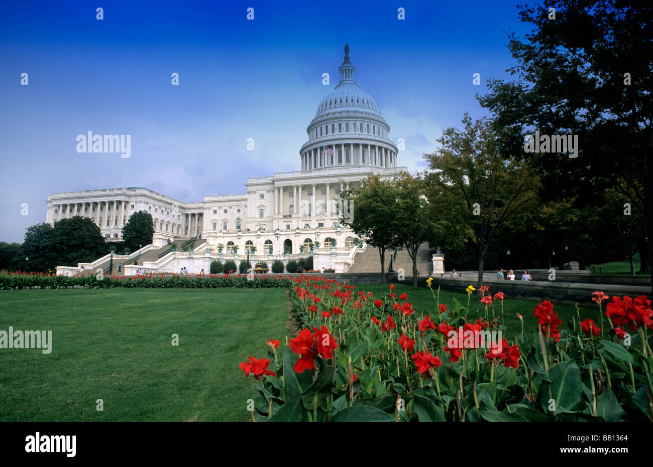 The beautiful color of the famous Capital Building with flowers in ...