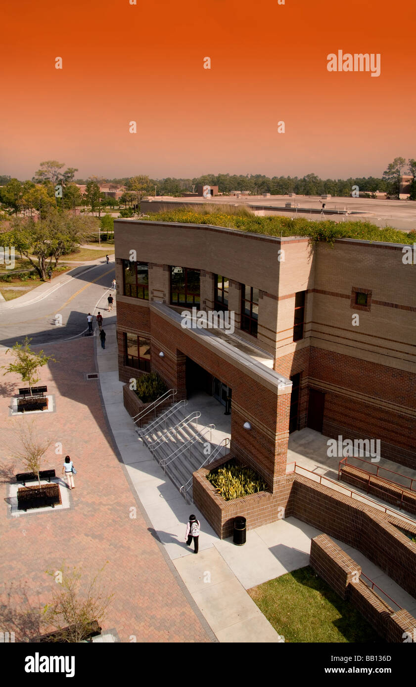 Green roof with plants on college roof to conserve energy and save ...