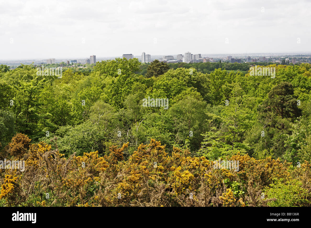 View of Croydon from across fields and trees Stock Photo - Alamy