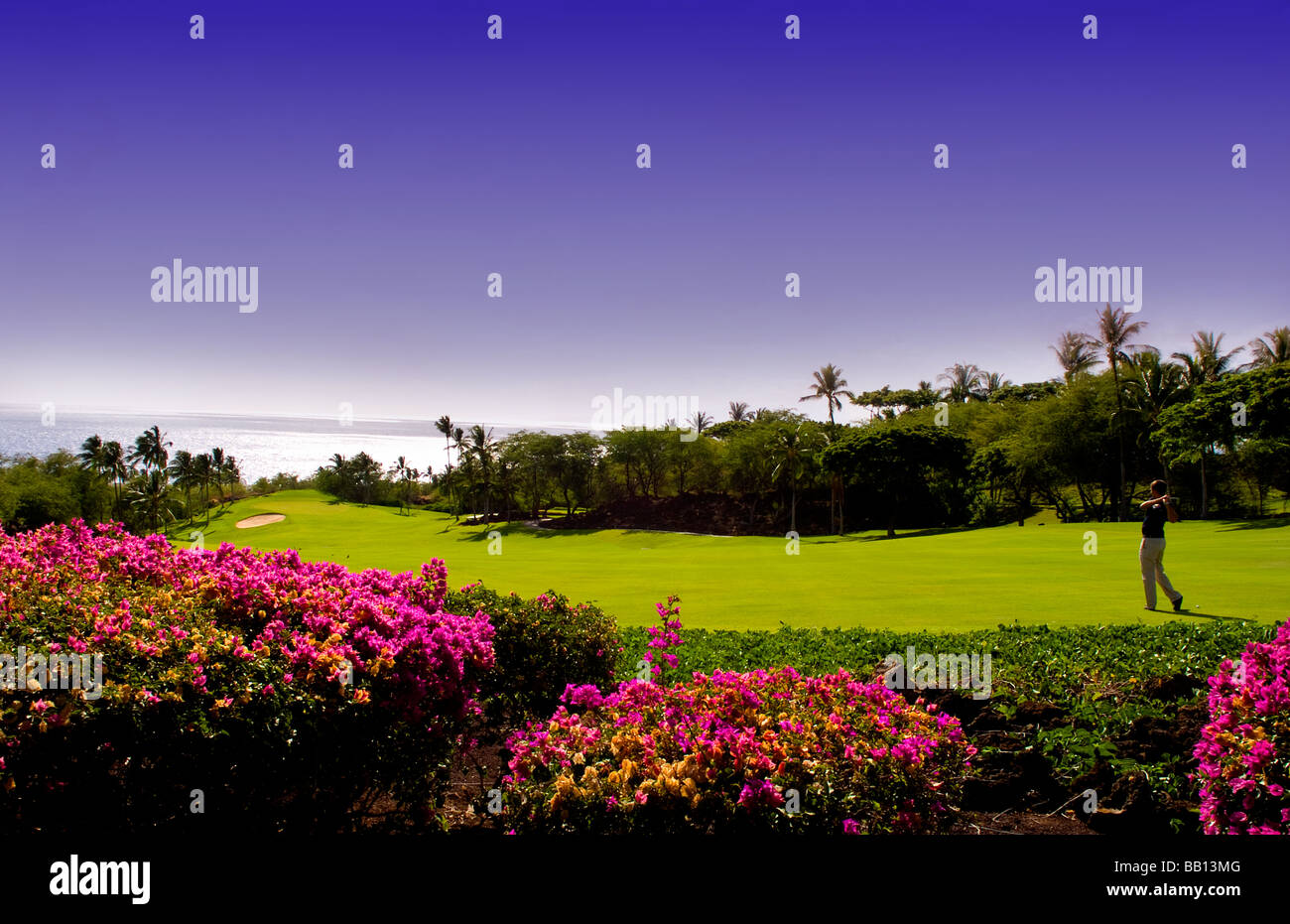 Golfer at exclusive beautiful Wailea Emerald Course hole 1 with palm ...