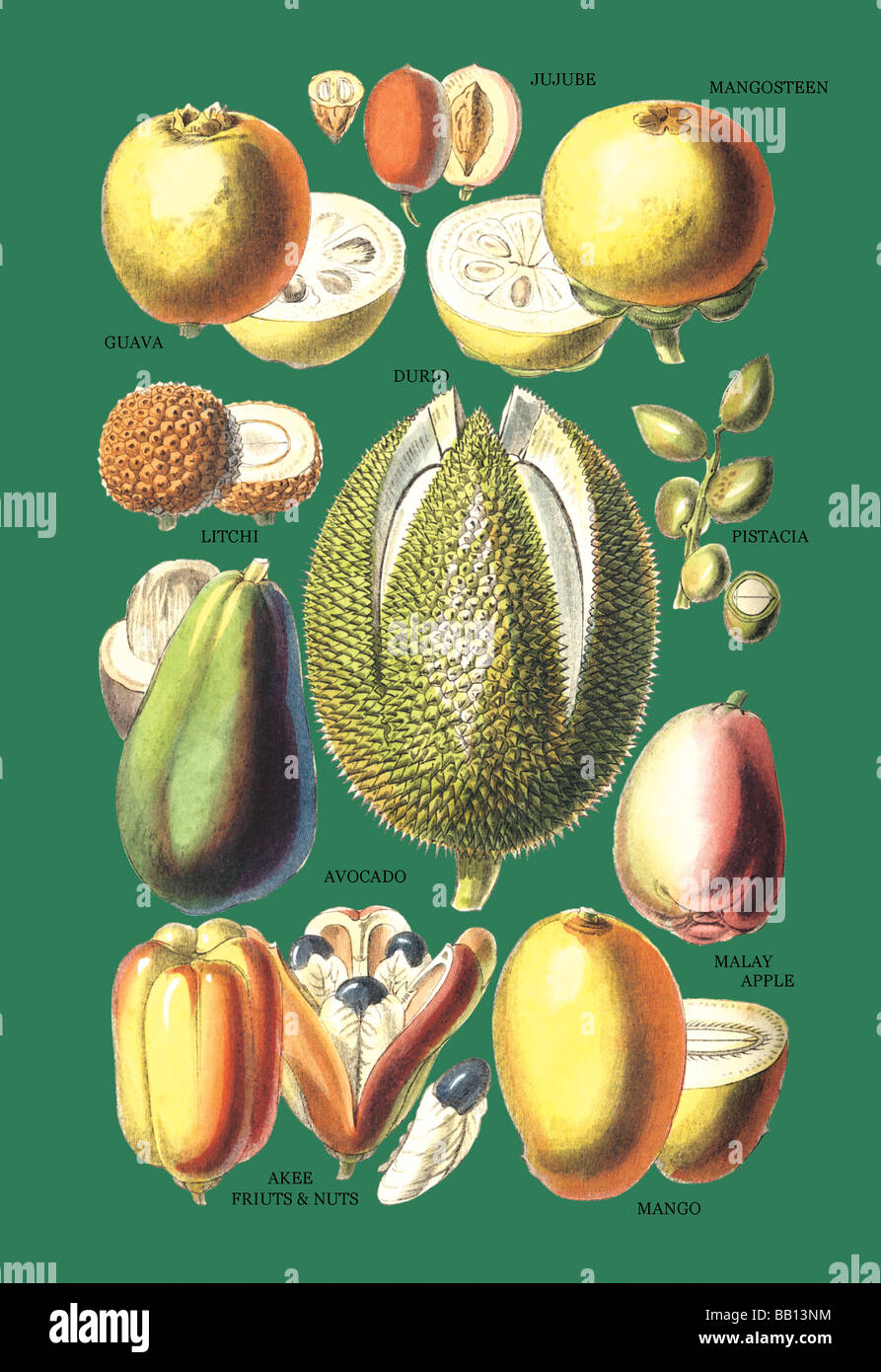 Fruits and Nuts #1 Stock Photo - Alamy