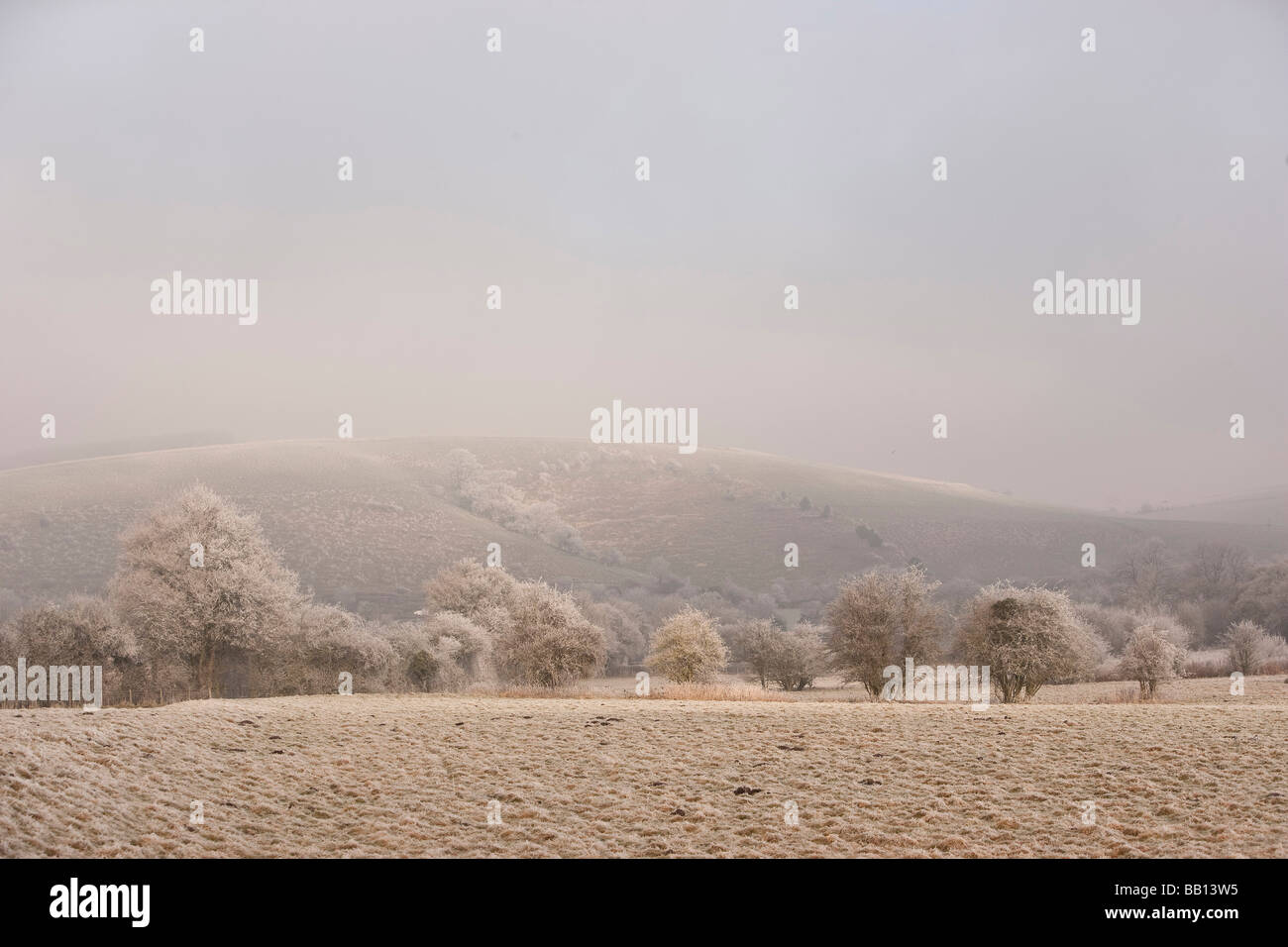 Meon hill vineyard hi-res stock photography and images - Alamy