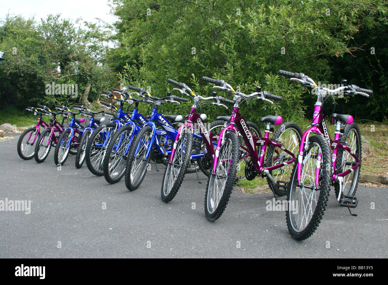 Line of bikes Stock Photo - Alamy