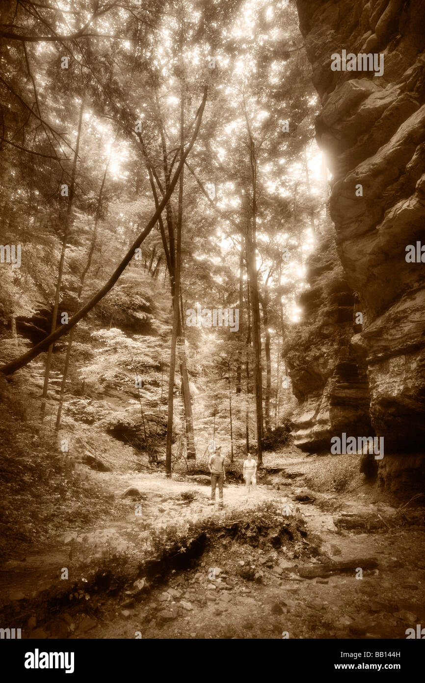 Dry ravine hi-res stock photography and images - Alamy