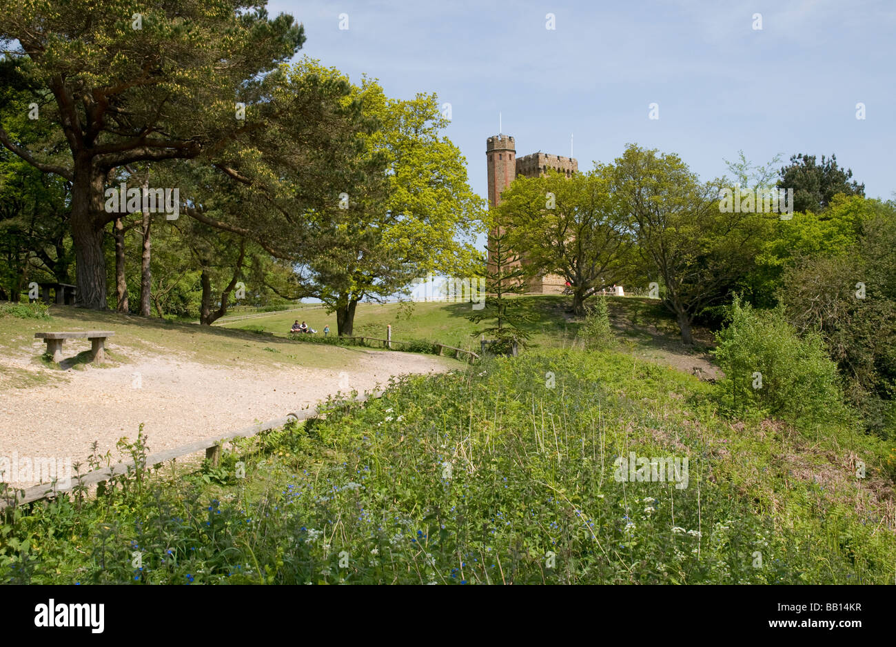 Leith Hill Tower, Surrey, England Stock Photo - Alamy