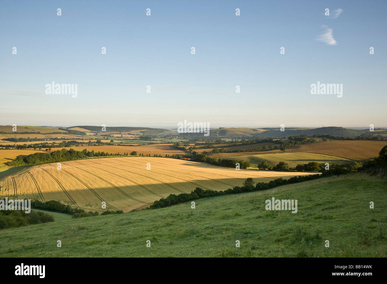 The Meon Valley at sunrise in summer Stock Photo - Alamy