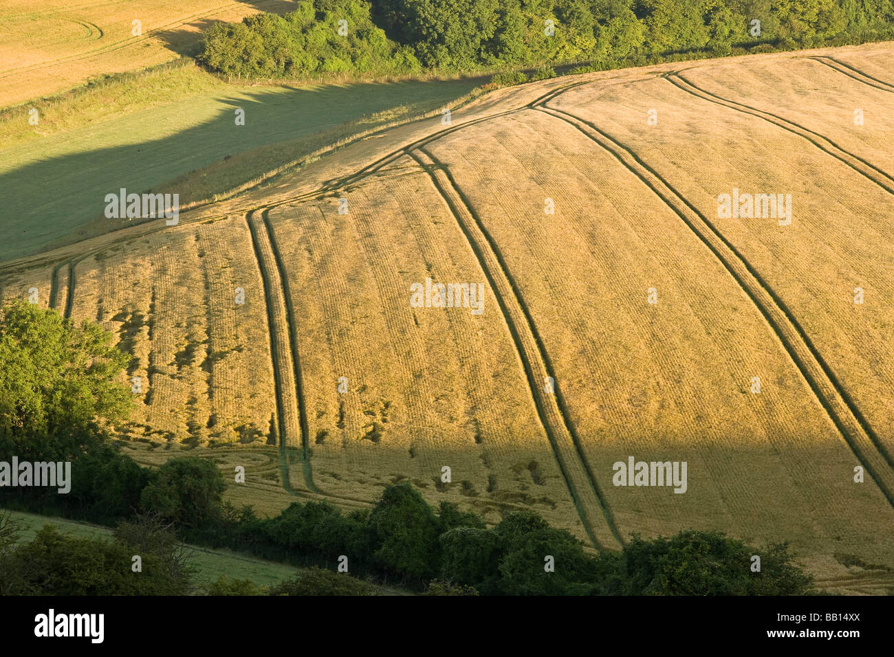 The Meon Valley at sunrise in summer Stock Photo - Alamy