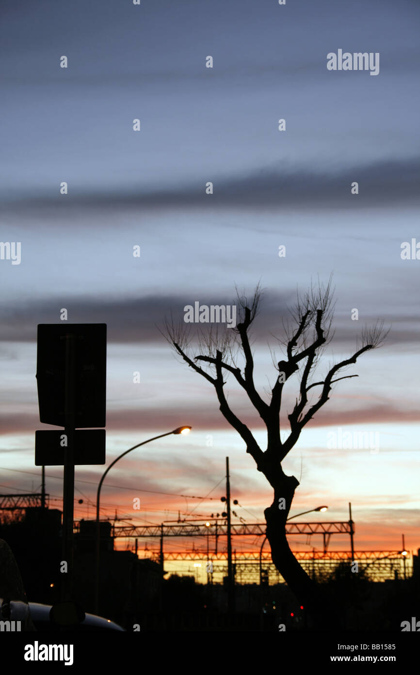 red sunset and single bare tree over an urban city landscape Stock ...