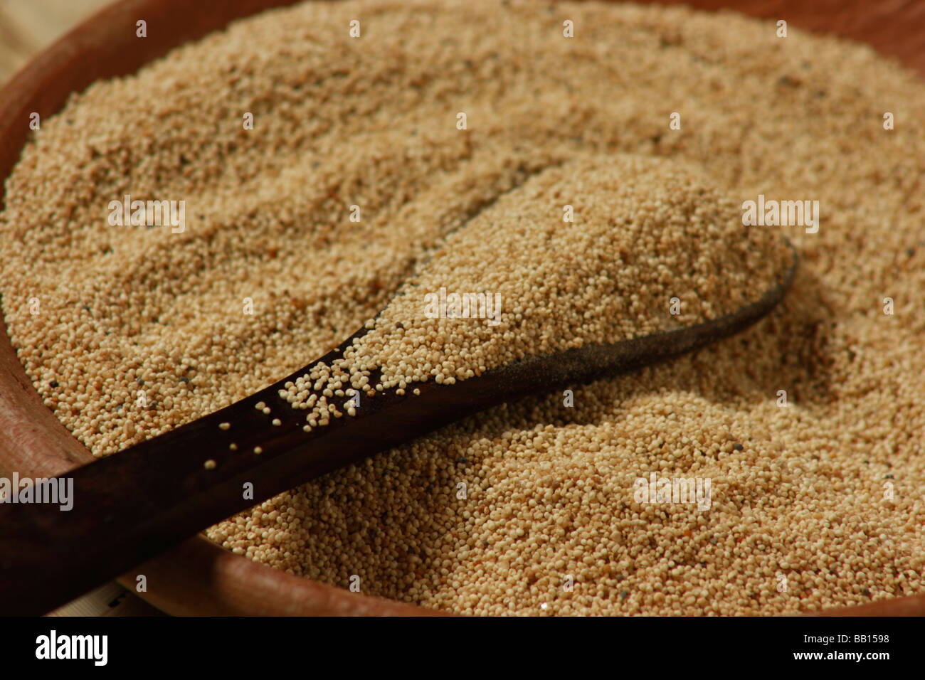 Poppy seed is an oilseed obtained from the opium poppy and its origin ...