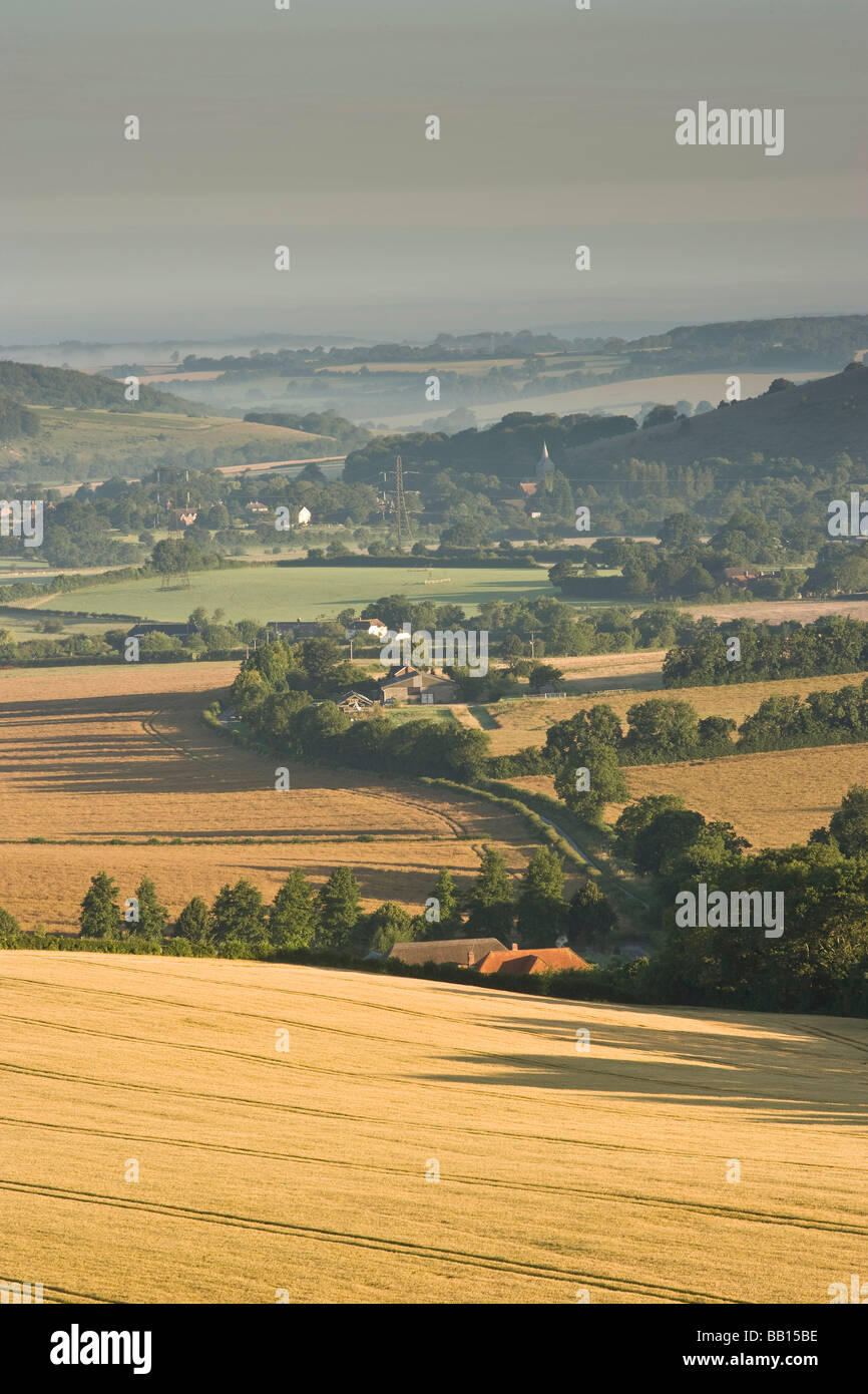 The Meon Valley at sunrise in summer Stock Photo - Alamy