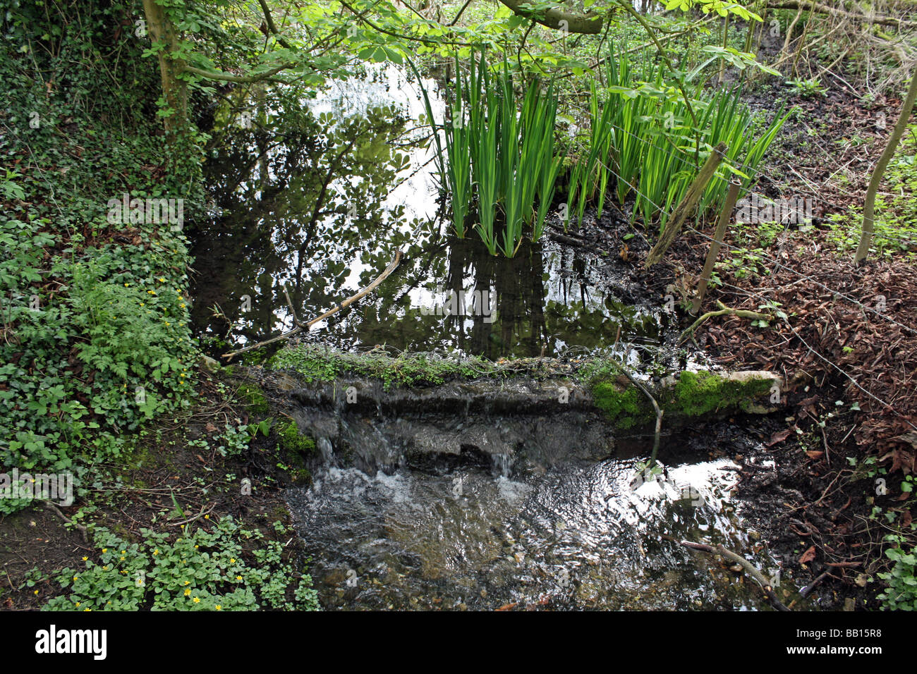 Country stream hi-res stock photography and images - Alamy