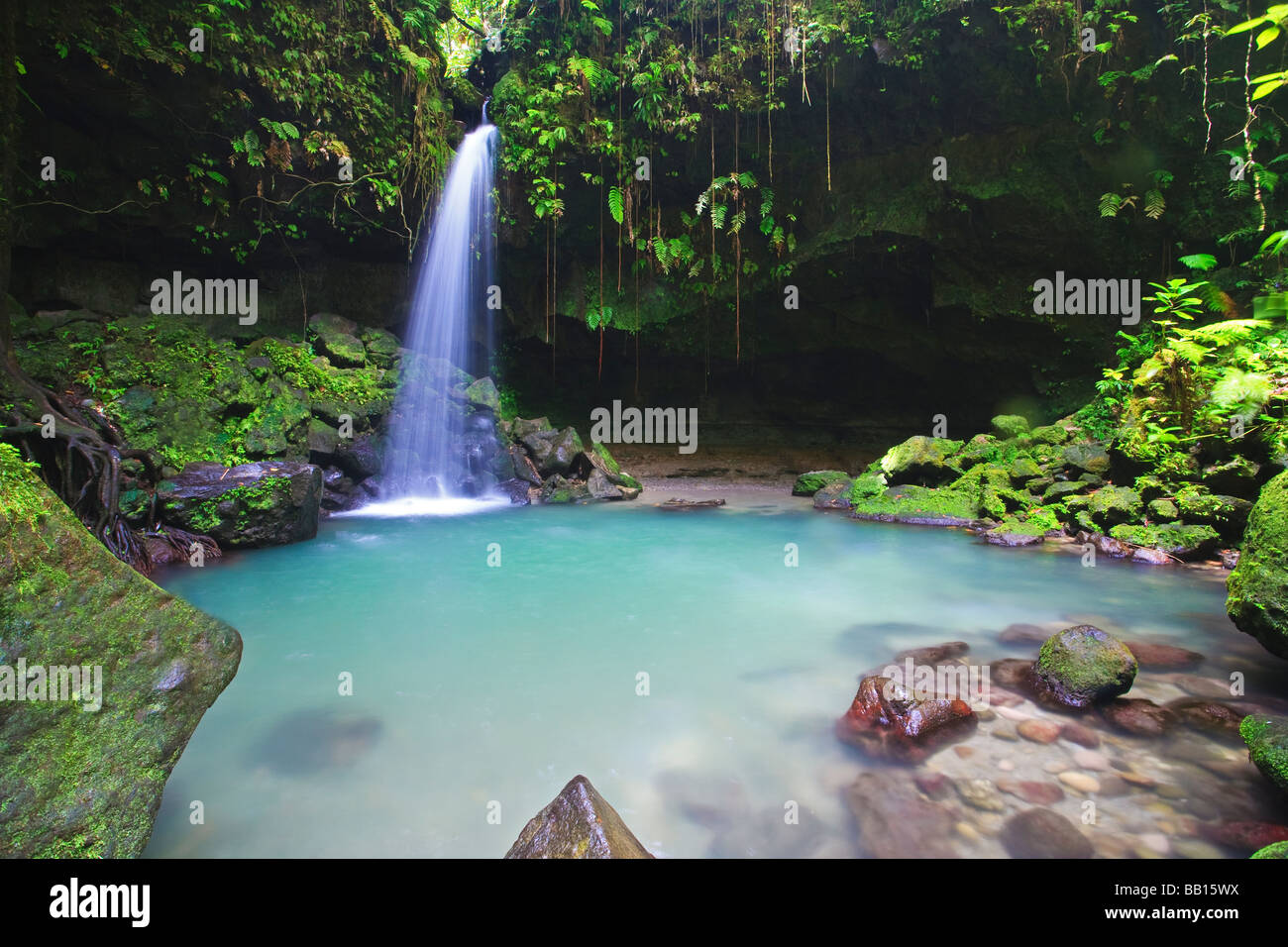 Emerald pool deep in rain forest of island of Dominica Stock Photo - Alamy