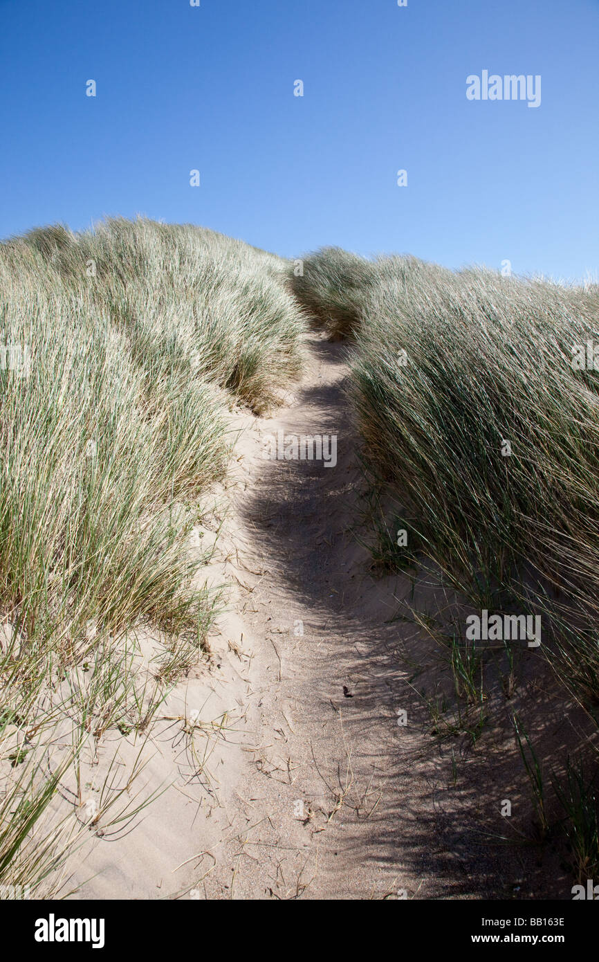 Beach and sand dunes wales hi-res stock photography and images - Alamy