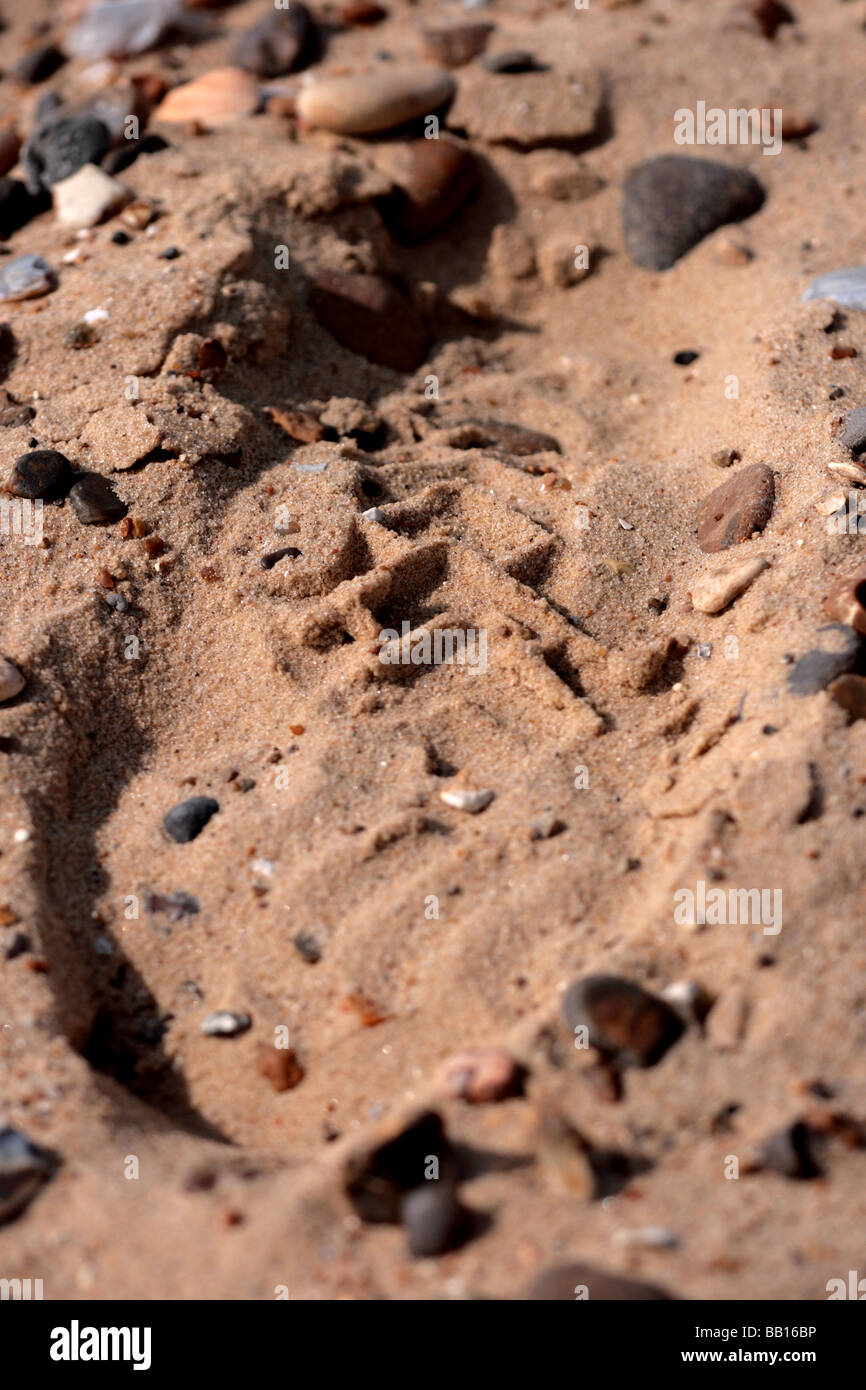 Walberswick tourists hi-res stock photography and images - Alamy