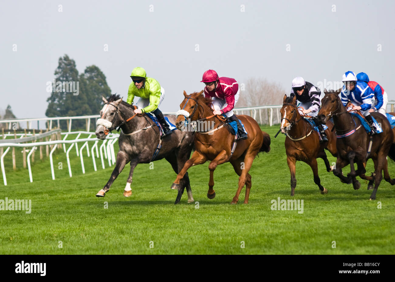 Throroughbred horse racing on Beverley Westwood, East Yorkshire Stock ...
