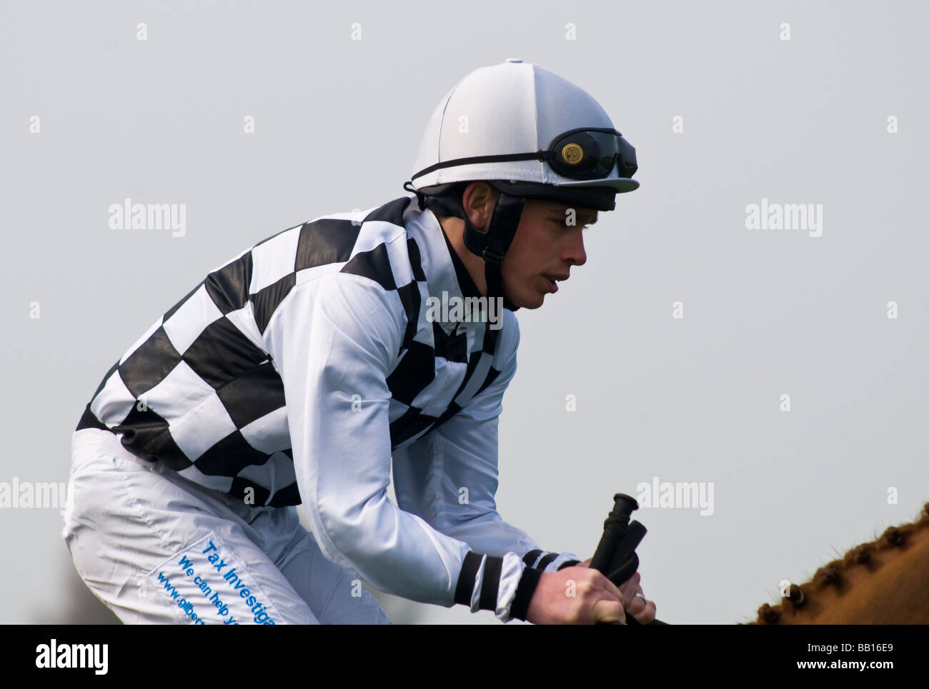 Horse and jockey canter to the start at Beverley races, East Yorkshire ...