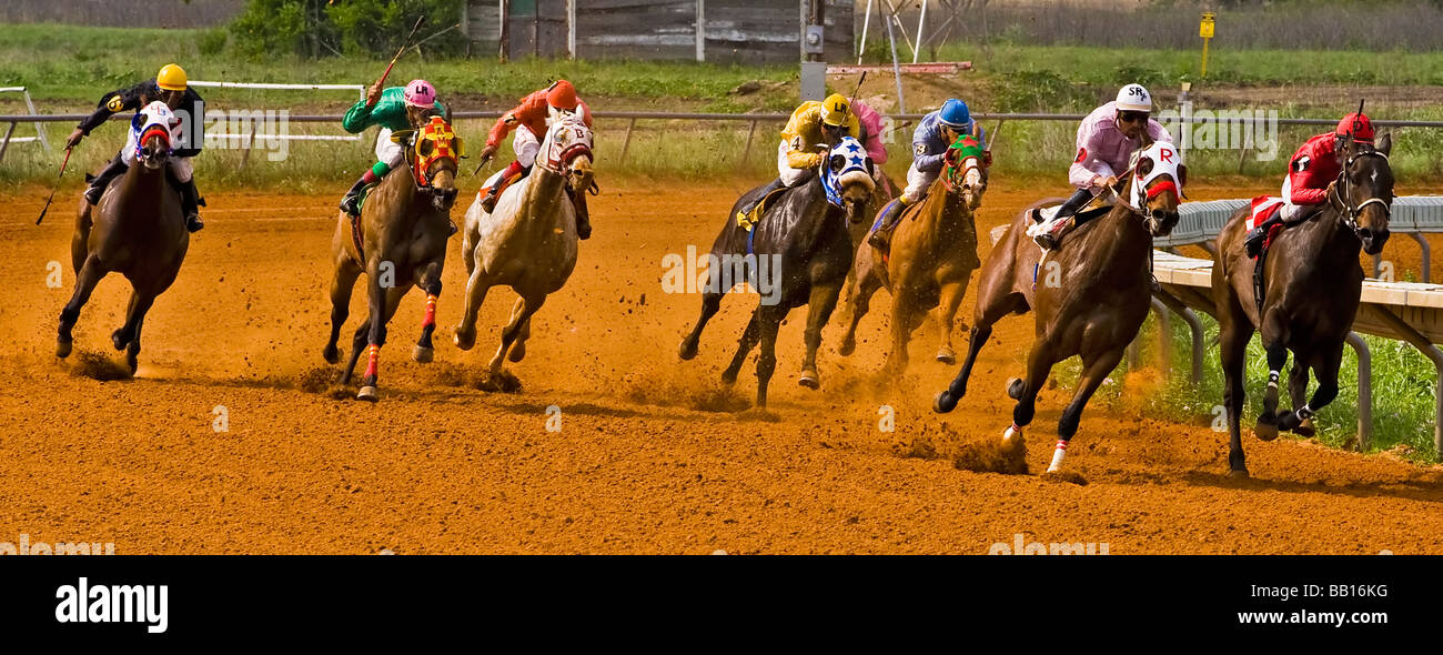 Horses racing on a bend Stock Photo - Alamy