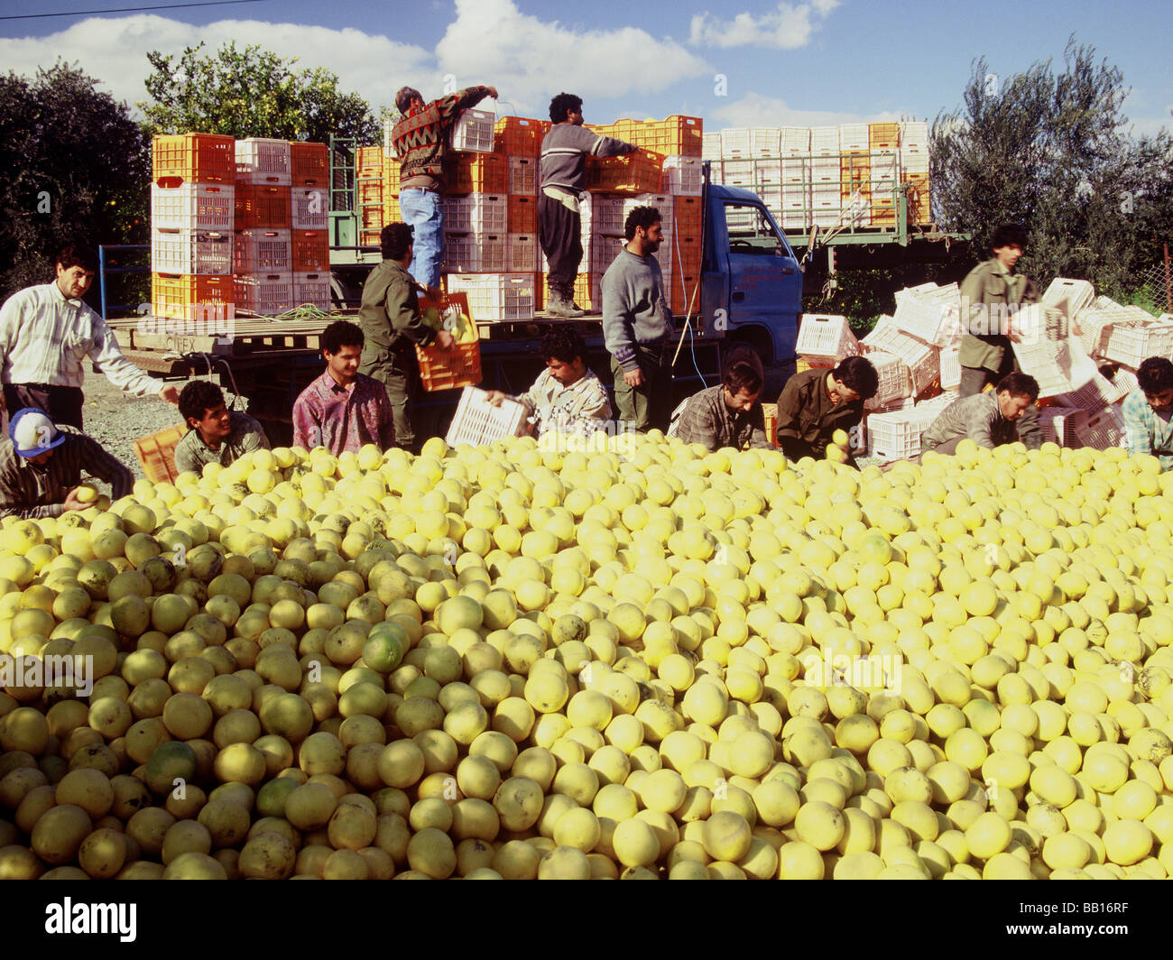 Fruit trees in cyprus hi-res stock photography and images - Alamy