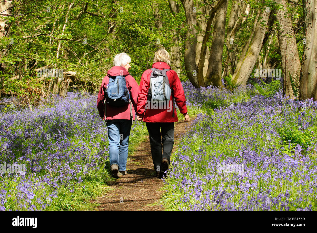 Ramblers walking on a public footpath and right of way through a ...