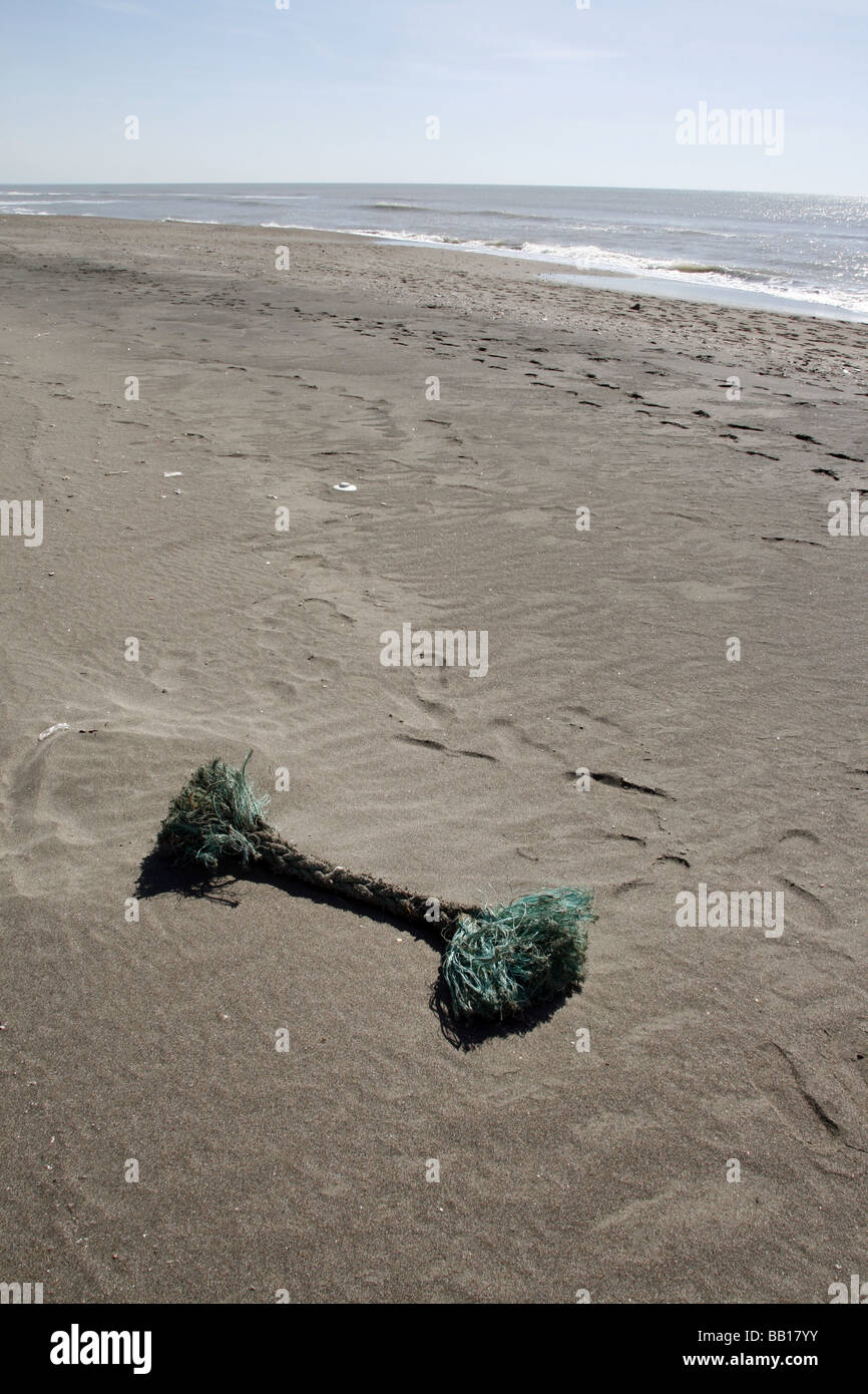 piece of string washed up on a beach Stock Photo - Alamy