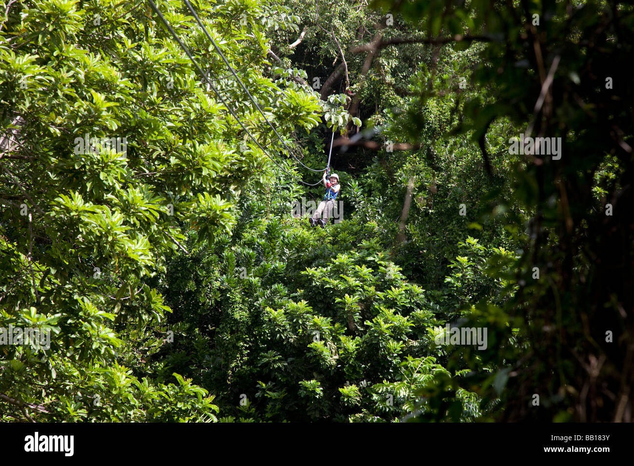 Asian tourist having fun during a zip line adventure in the Caribbean ...