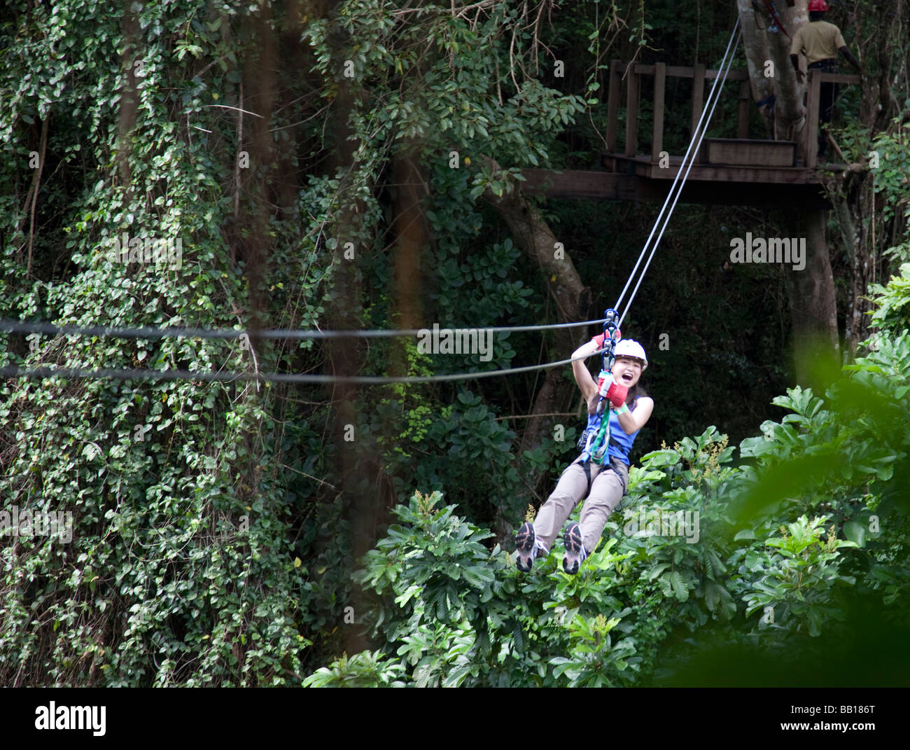 Barbados eco tour hi-res stock photography and images - Alamy