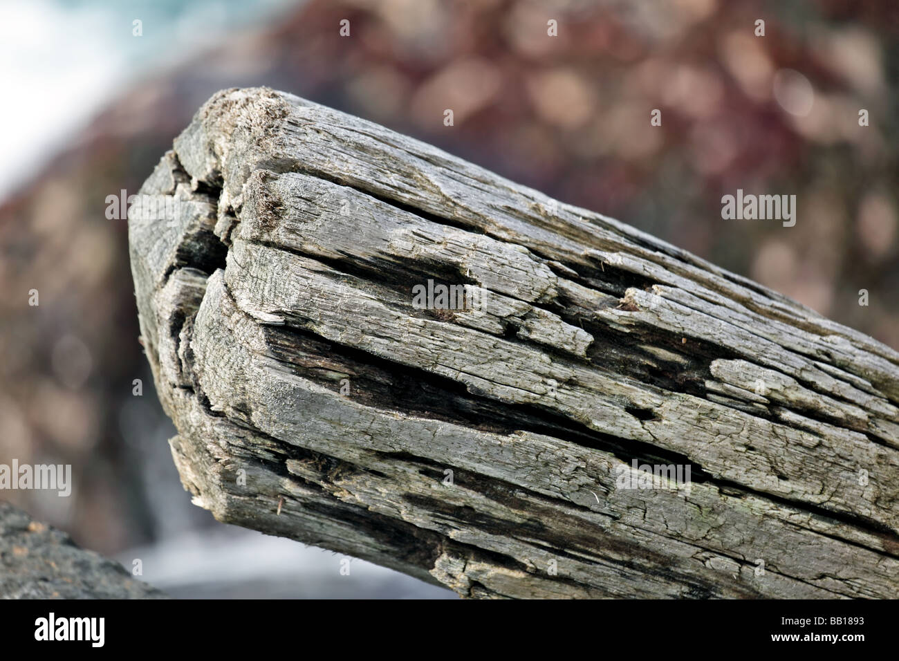 Weathered rotting timber water hi-res stock photography and images - Alamy