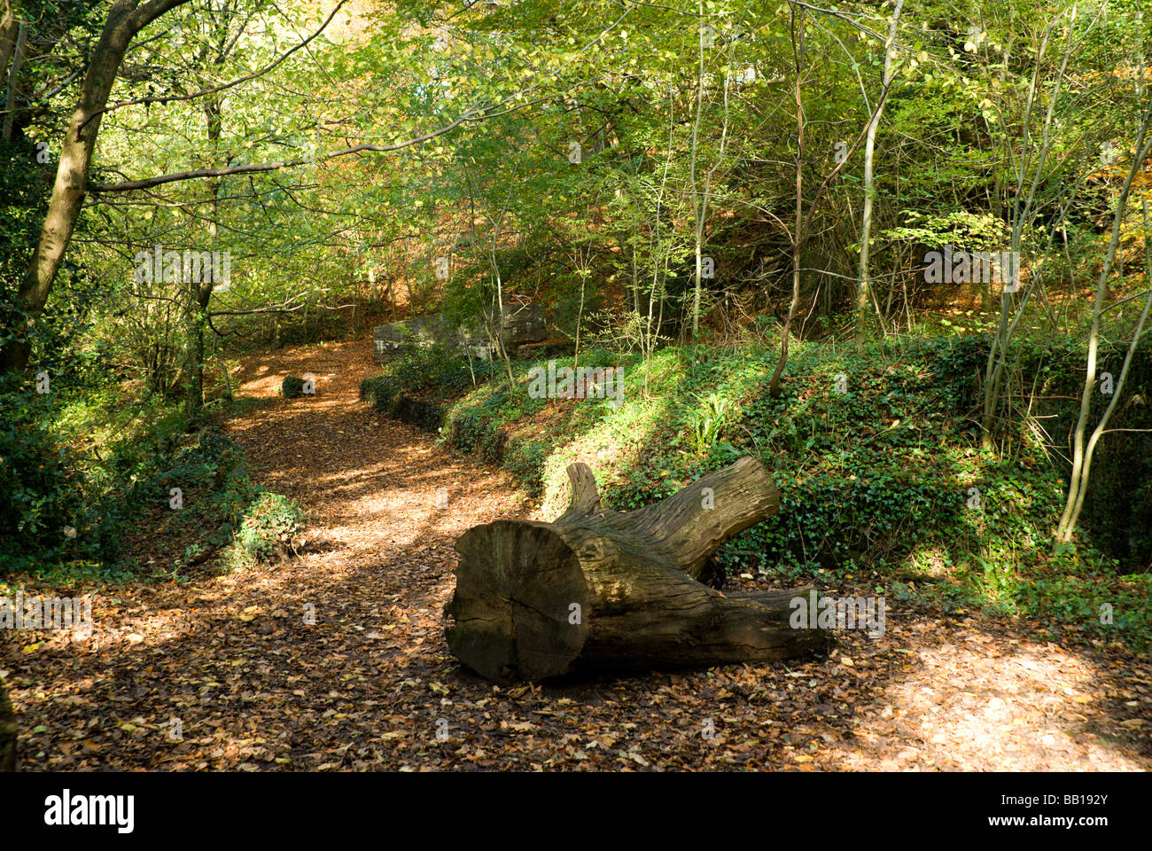 taff trail quakers yard glamorgan merthyr tydfil south wales valleys ...