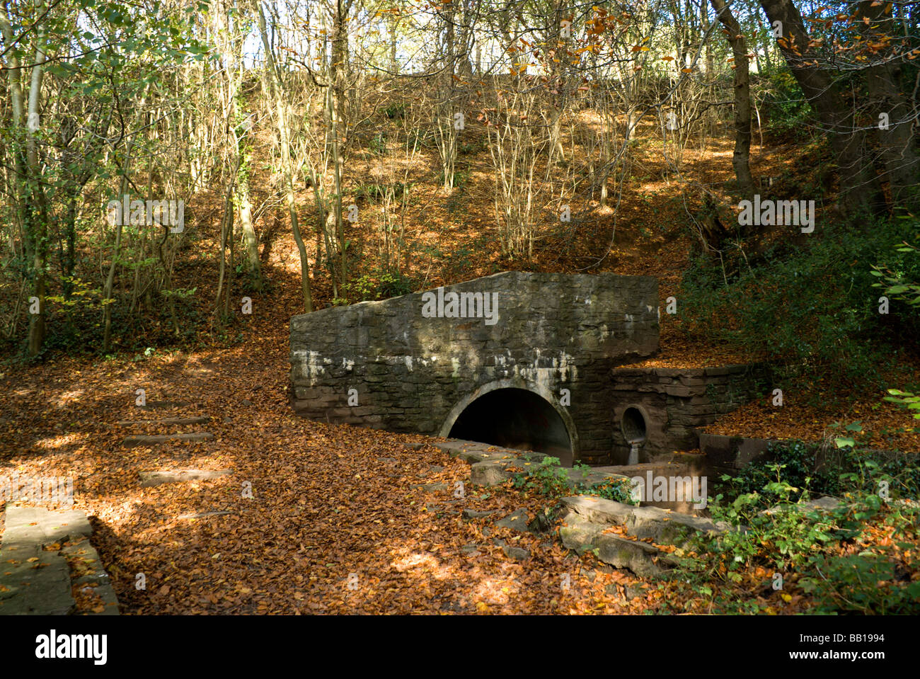 Glamorganshire canal nature reserve hi-res stock photography and images ...