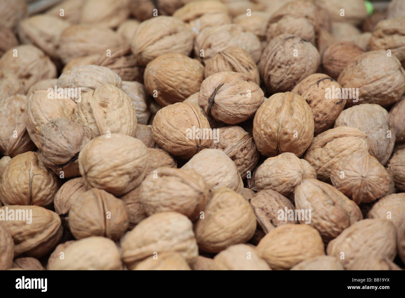 A big pile of unshelled Walnuts Stock Photo - Alamy