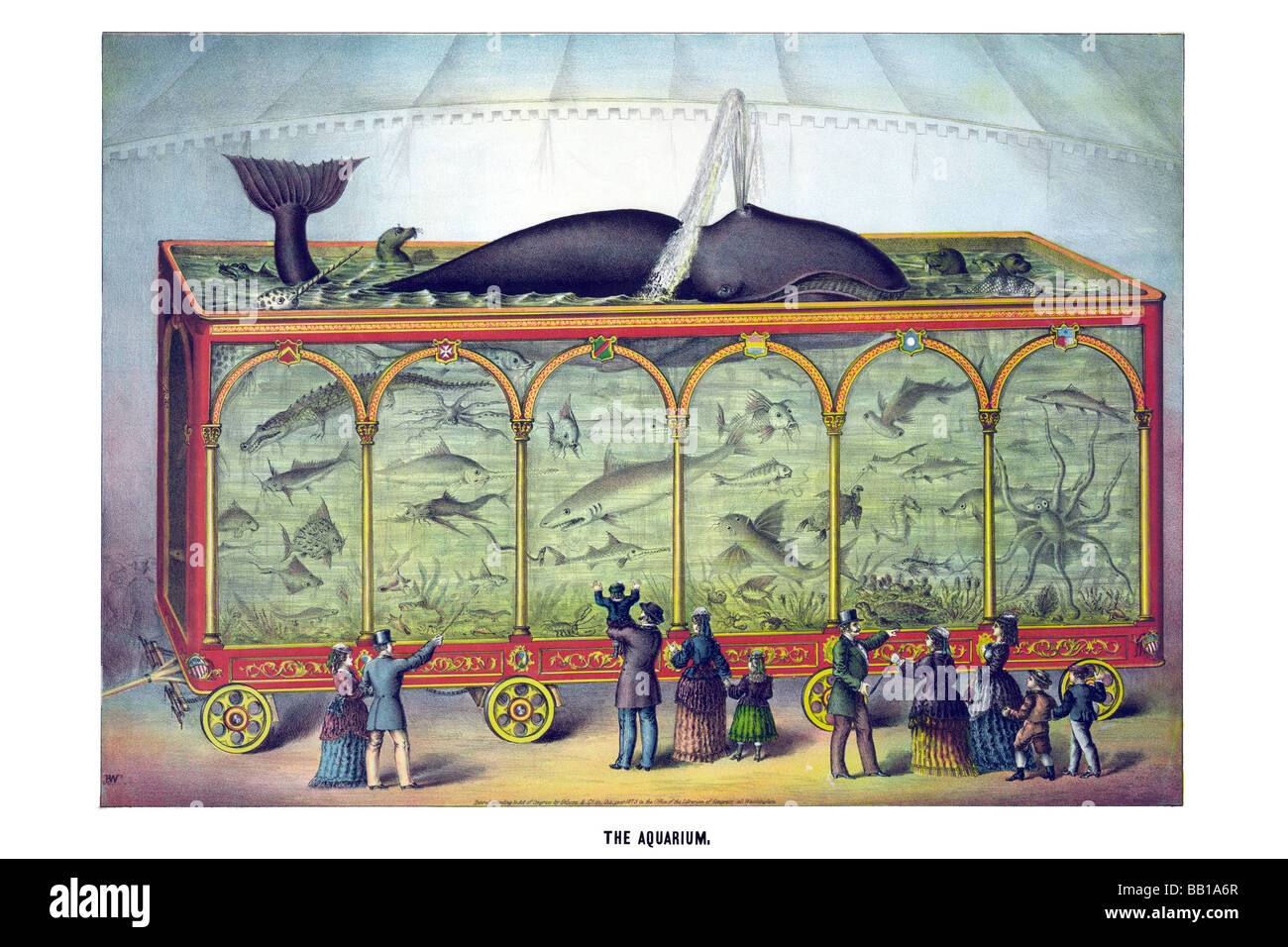 Spout fish hi-res stock photography and images - Alamy