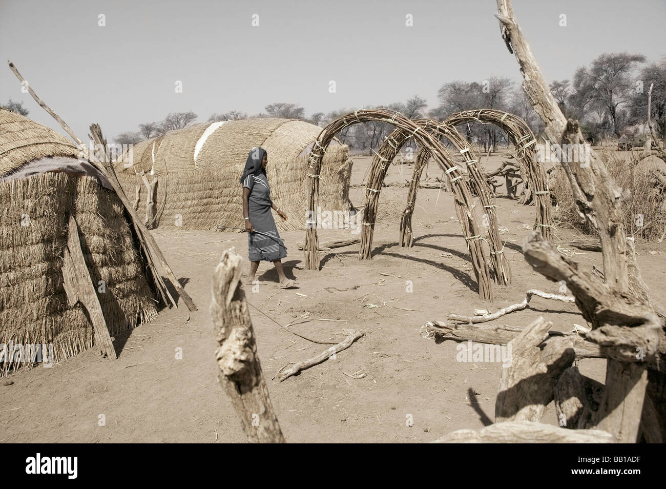 Woman building hut, Afar tribe, Awash Fontale, Ethiopia Stock Photo - Alamy