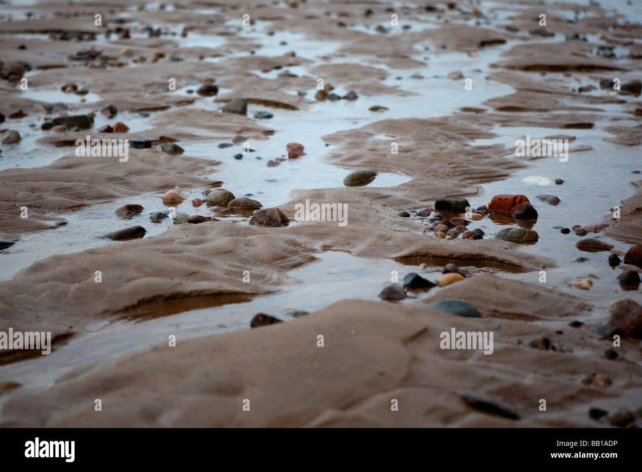 Stones on the beach Stock Photo - Alamy