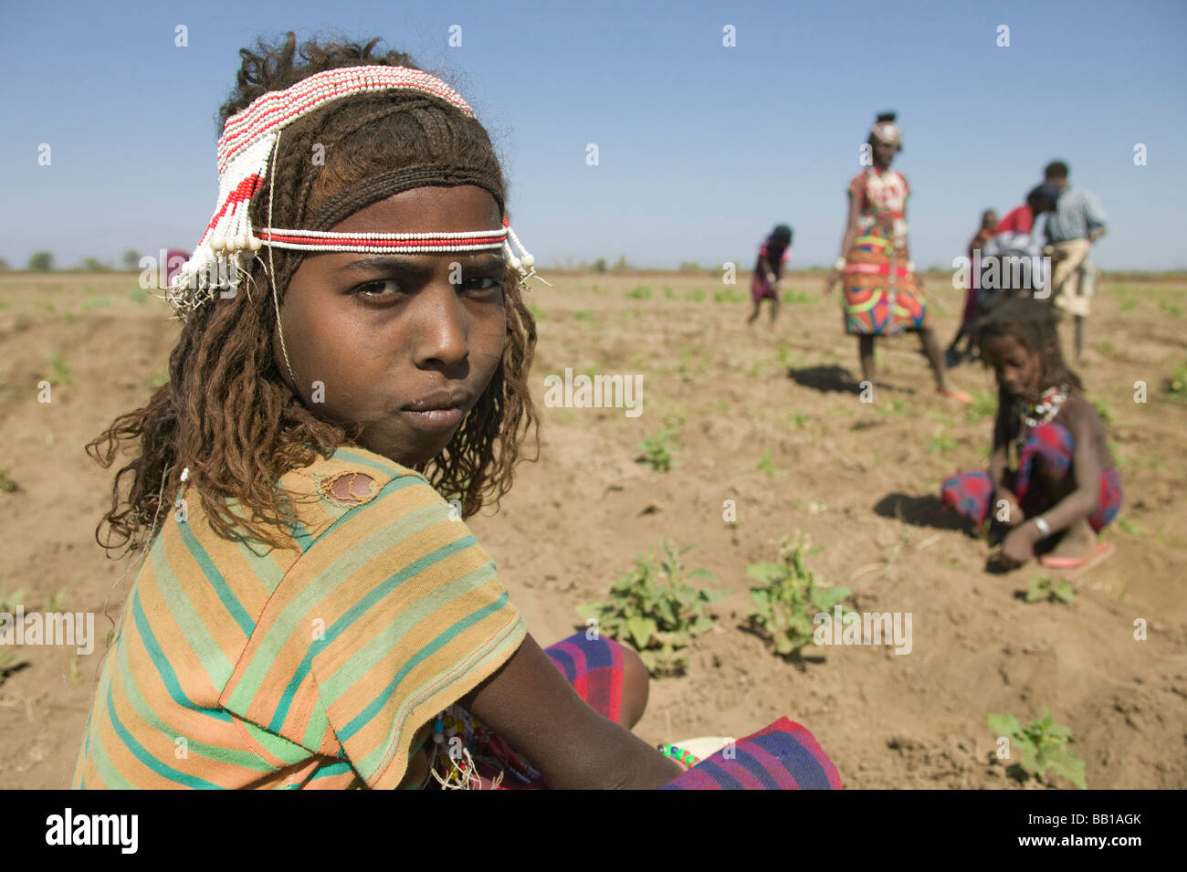 Girl working in the fields, planting corn, Afar tribe, Awash Fontale ...