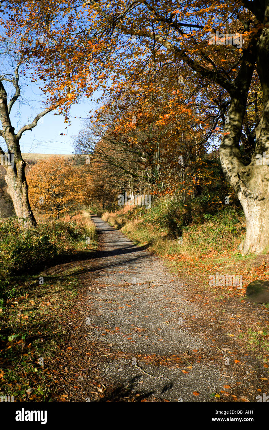 Quakers yard wales hi-res stock photography and images - Alamy