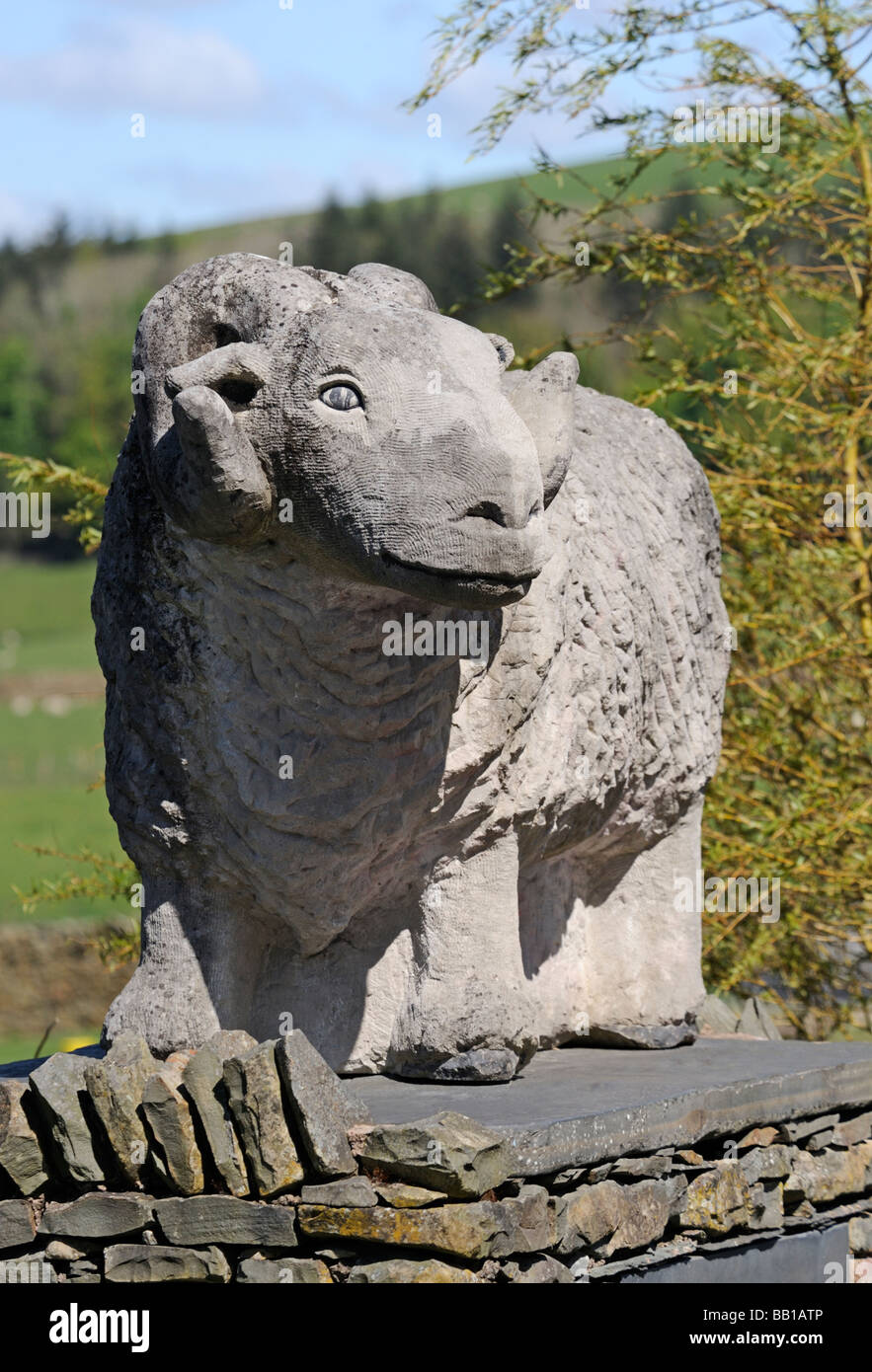 Herdwick ram sheep hi-res stock photography and images - Alamy
