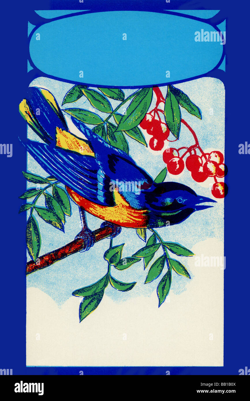 Bird Broom Label Stock Photo - Alamy
