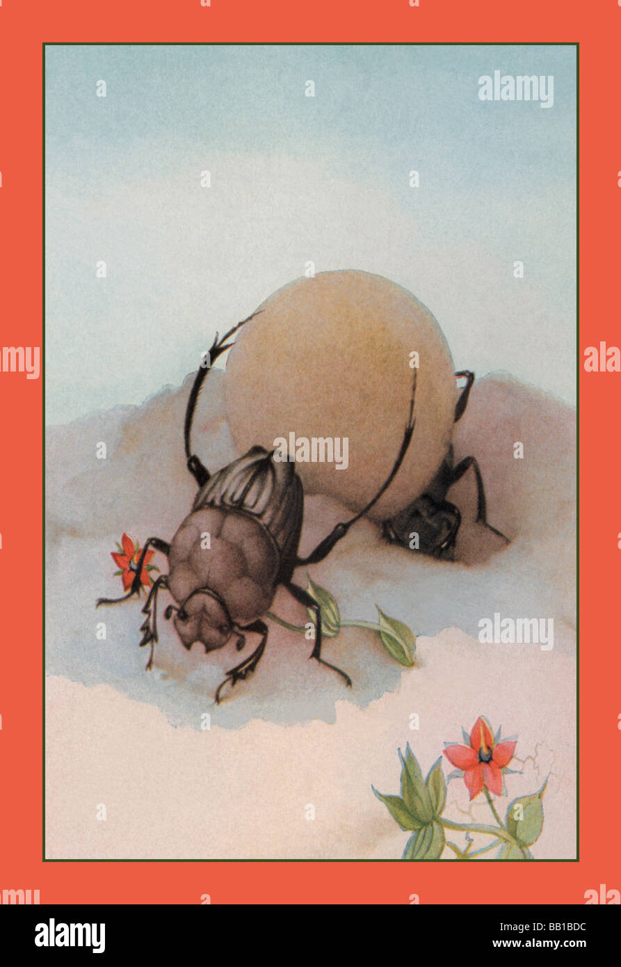 Bugs insectarium hi-res stock photography and images - Alamy