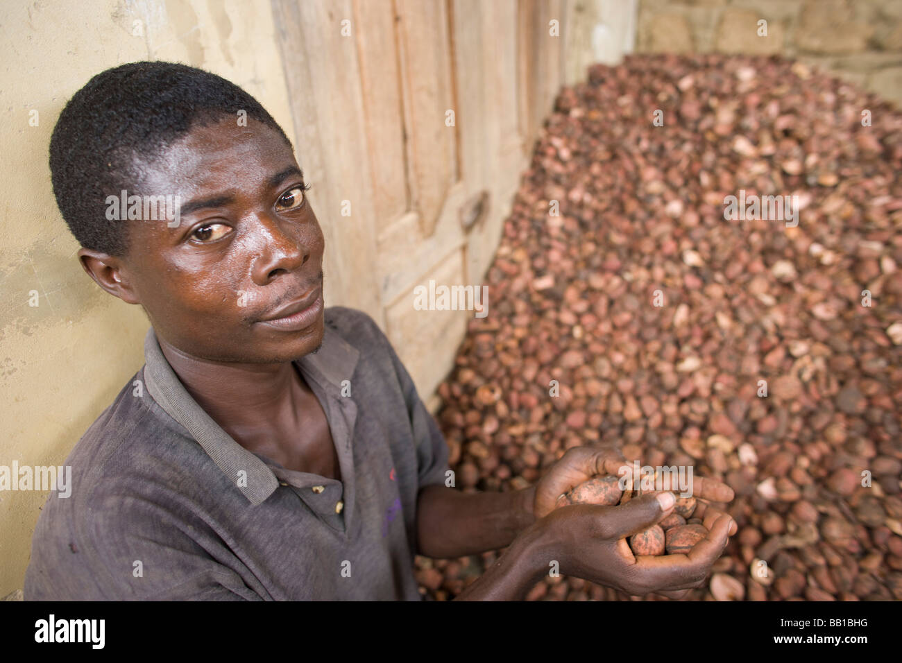 Cocoa ghana man hi-res stock photography and images - Alamy