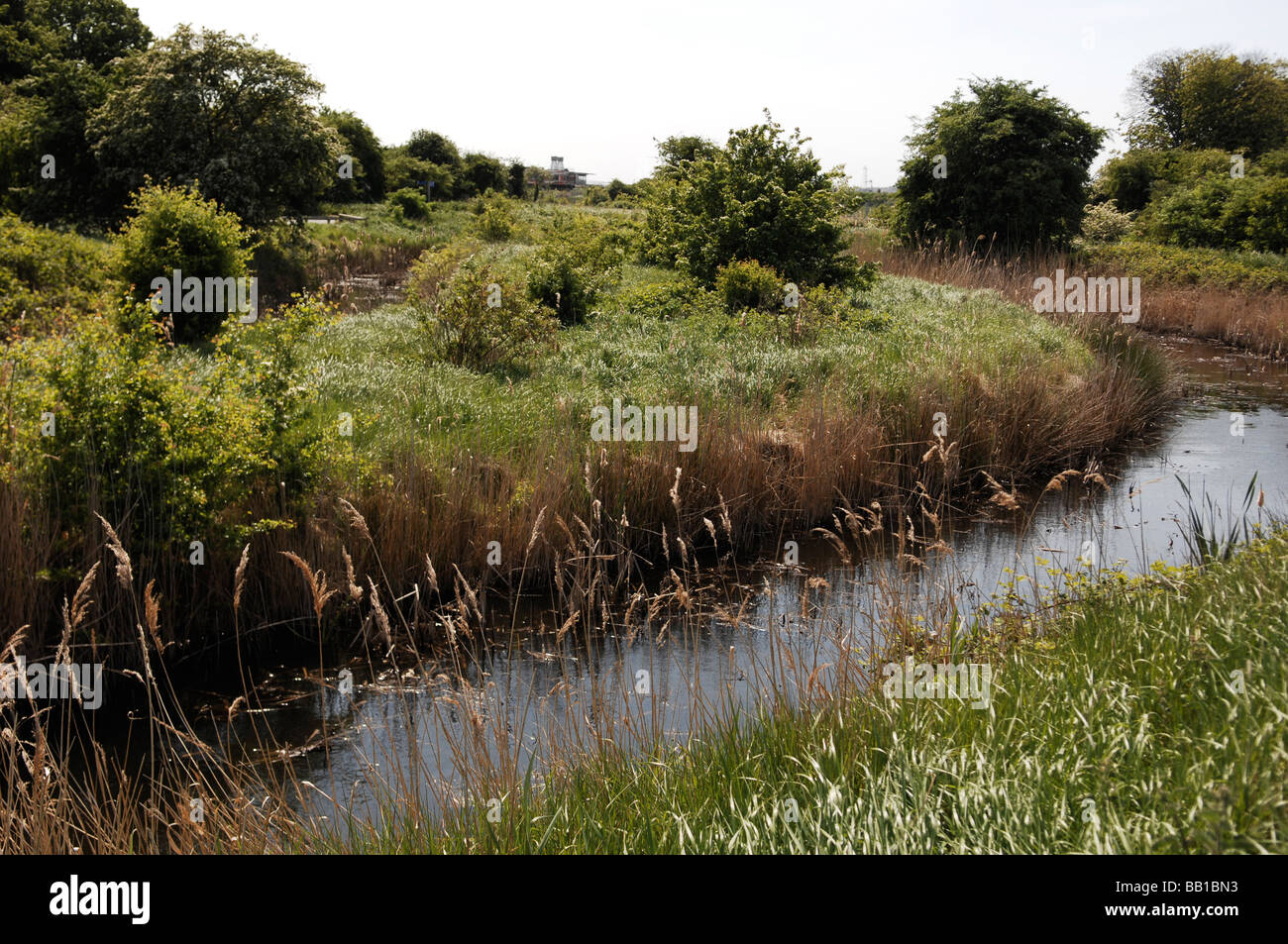 The RSPB nature reserve at Rainham Marshes in Essex on the outskirts of ...