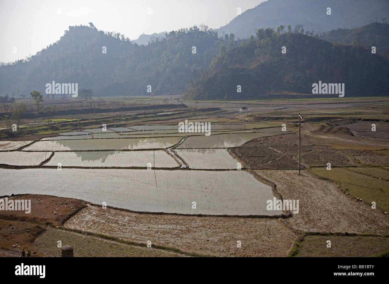 Nepalese farm muddy rice field flooded rudimentary farming Kathmandu ...