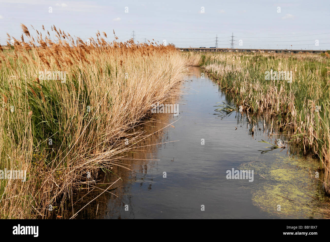 The RRSB nature reserve at Rainham Marshes in Essex on the outskirts of ...