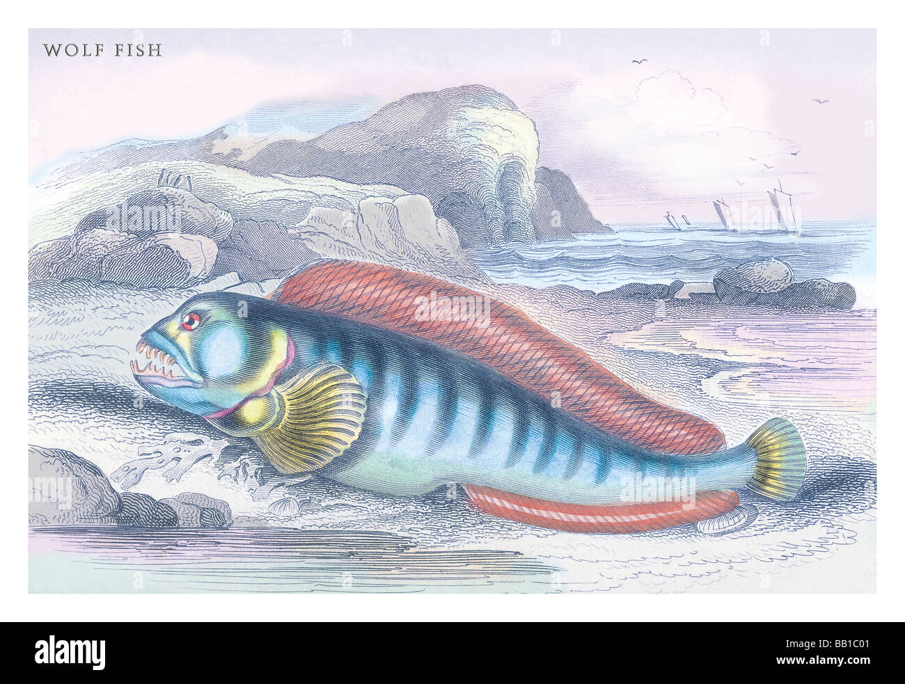 Fish for lent hi-res stock photography and images - Alamy