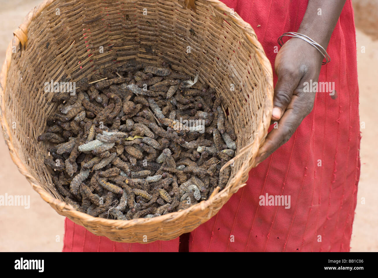 Cooked grubs hi-res stock photography and images - Alamy