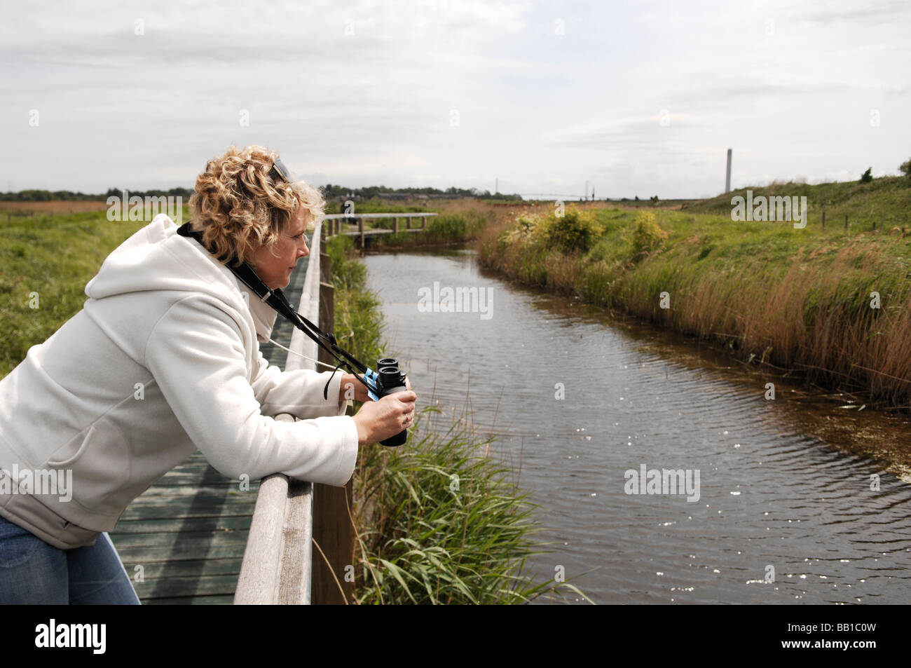 Middle aged woman birdwatching at rainham Marshes RSPB nature reserve ...