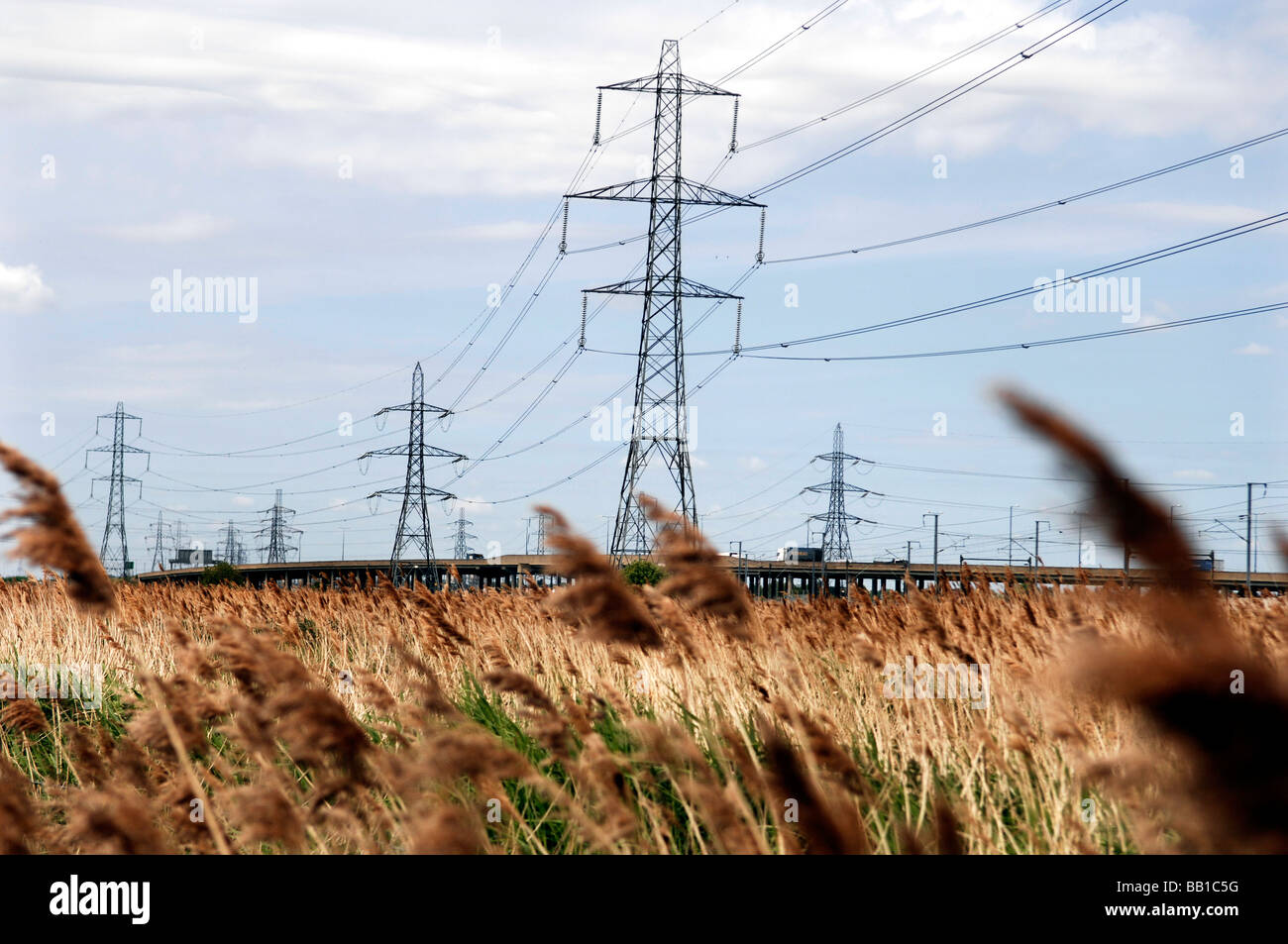 Pylons electricity essex hi-res stock photography and images - Alamy